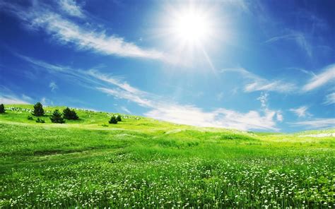 Download Free Grasslands Wallpaper Most Beautiful Places In The World