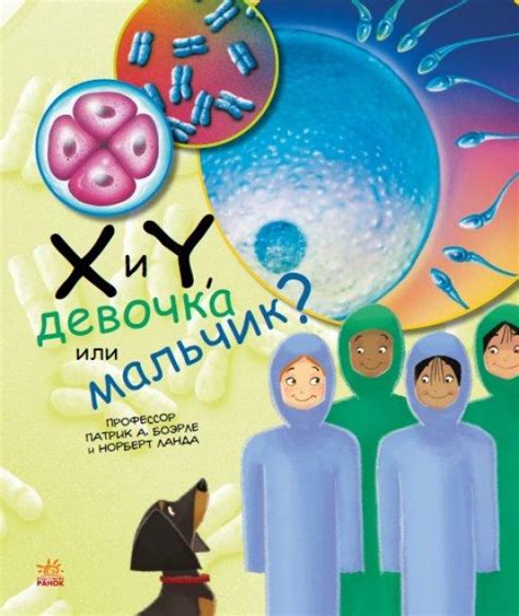 Генетика для Дітей: X І Y, Дівчинка Чи Хлопчик? Арт. С1354005Р ISBN ...