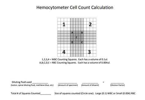 SOLVED Hemocytometer Cell Count Calculation 1 2 3 4 WBC Counting