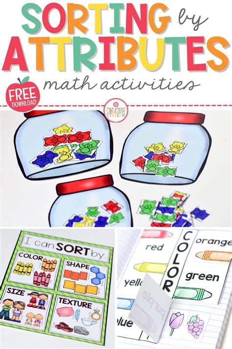Sorting Activities For Little Learners Artofit