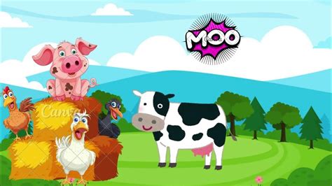 Moo Moo The Cow Youtube