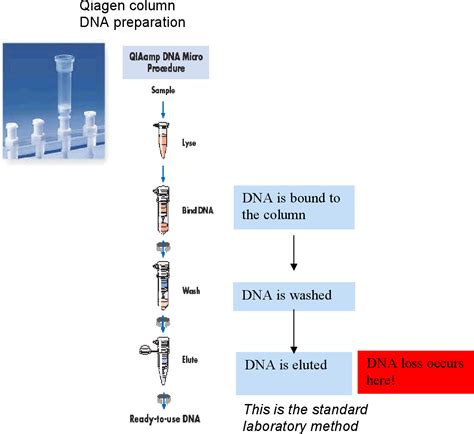 Figure 1 From Comparison Of Packed Beds And Qiagen Columns For