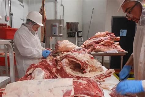 Updated Meat Processing Guide Released By Meat Institute And Meat Foundation