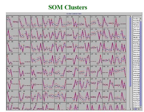 Microarray Analysis Quantitation Of Gene Expression Data To