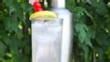 Tom Collins Recipe Allrecipes