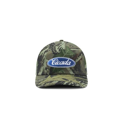 Cicada Cap Divention