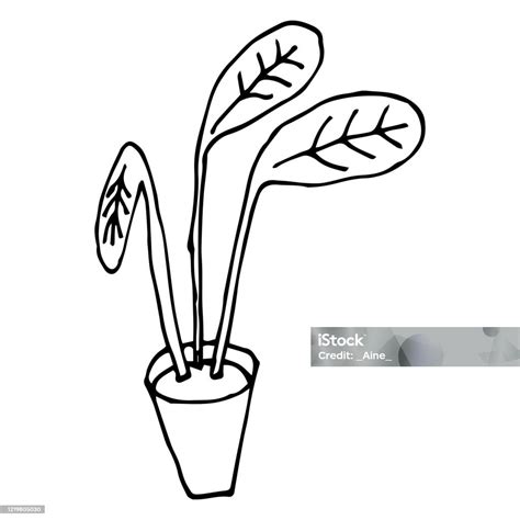 卡通植物在鍋內隔離在白色背景塗鴉風格的室內花向量圖向量圖形及更多剪裁圖圖片 剪裁圖 剪貼畫 卡通 Istock