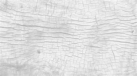 Texture Background Intricate Tree Bark Tree Bark Tree Texture Bark