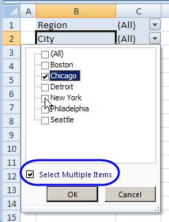 Mac Excel Filter For Specific Region Lasopaergo