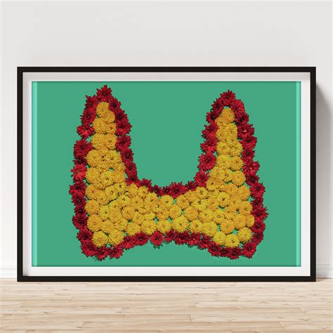Thyroid Gland Art Print By Peakstock Science Photo Library Science