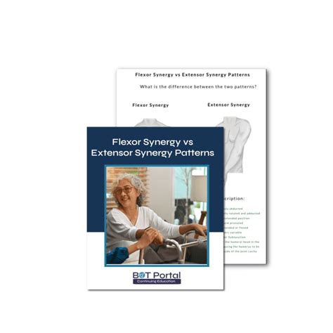 Flexor Synergy Vs Extensor Synergy Patterns