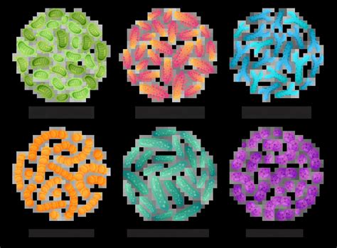 花瓣素材 益生菌。乳酸菌、双歧杆菌和乳球菌属益生菌属。良好的细菌载体插图集 184056436 [转换] 花瓣网