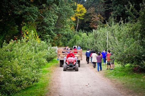 Best Massachusetts Apple Picking 10 Of The Best Places To Pick Your