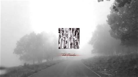 אנשים טלי בוקאי Youtube