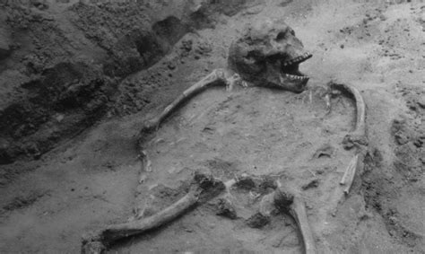 Ancient Diseases Smithsonian Tropical Research Institute