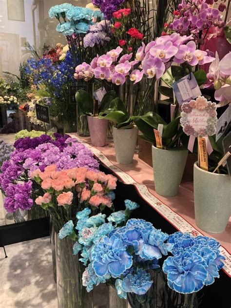 母の日、たくさんのご来店ありがとうございました！ 水処理部品の開発・販売で培った独自の技術と微生物研究のノウハウを活かした環境関連ビジネス を展開