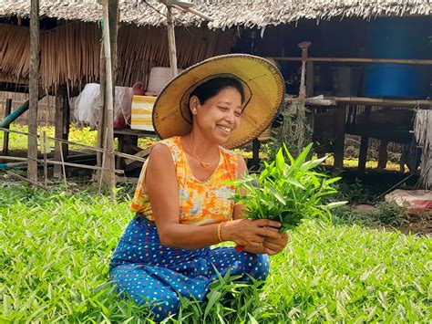 Fao In Myanmar Food And Agriculture Organization Of The United Nations
