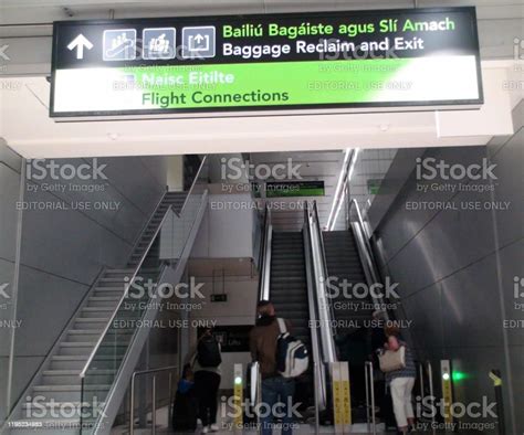 더블린 공항 아일랜드 공화국 도착 수하물 회수 및 출구 게이트 항공편 연결 사람 보기 2019년에 대한 스톡 사진 및 기타