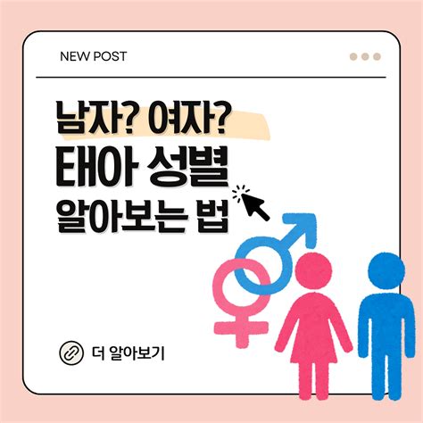 임신중 태아 성별 알아보는 방법 총정리 초음파 니프티 각도법 황실달력 등