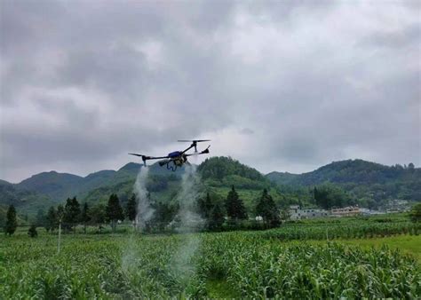 鼎新乡大井村：无人机“上岗” 为大豆玉米增产“护航”植保种植农药