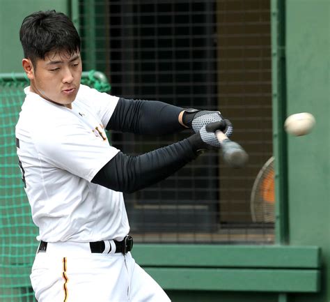 巨人1軍練習 坂本、亀井、岡本らケース打撃も プロ野球写真ニュース 日刊スポーツ