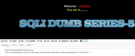 Sqli Labs靶场第五关sqli Labs Pass5 Burps Csdn博客