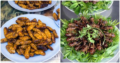 Insects Could Soon Be Approved For Food Consumption In Singapore