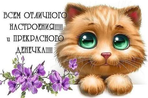 Картинки для поднятия настроения 23 фото