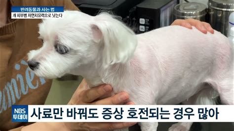 문화산책 반려동물과 사는 법 Youtube