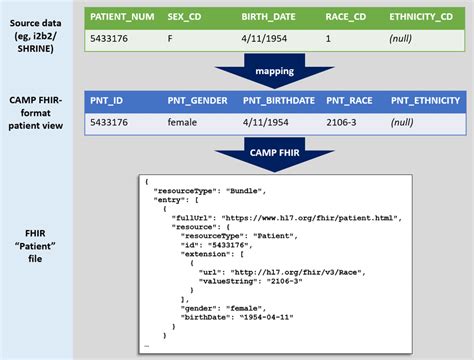 An Example Of Demographic Data Transformation CAMP FHIR Clinical
