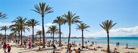 El Arenal Mallorca Informatie Tips Voor Je Vakantie