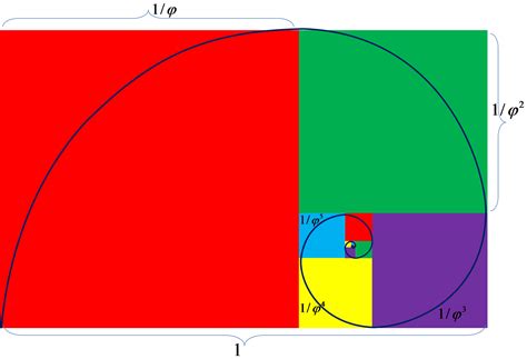File Golden Ratio Png Wikimedia Commons