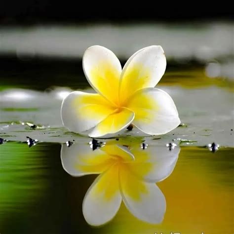 Dhiraj Pradhan Kdcreation1323 • Threads Say More