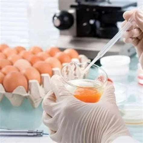 Egg Product Testing Service At Rs 10000 In Ghaziabad Id 2852712311033