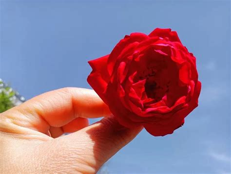 隨筆晚秋日記 壹讀