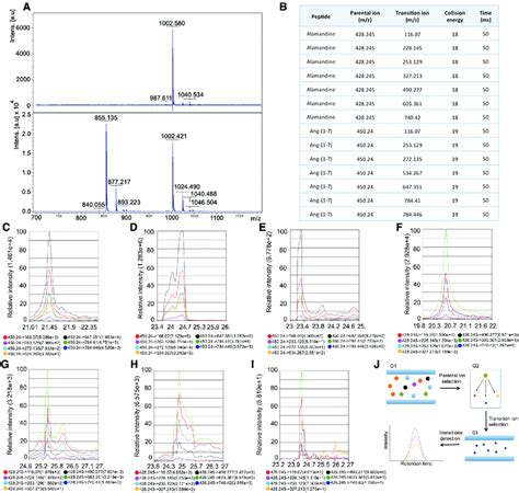 Formation Of Alamandine By Recombinant Human Angiotensin Converting