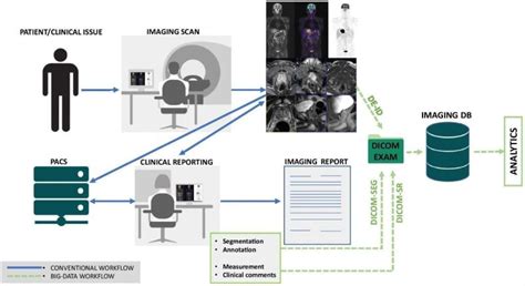 Bigdata Insightsintoimaging Insights Into Imaging