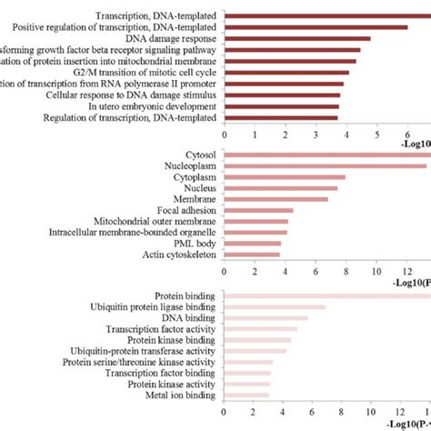 The TGF Beta Signaling Pathway Enriched In KEGG Objects With