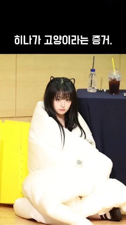 히나가 고양이라는 증거1 Youtube