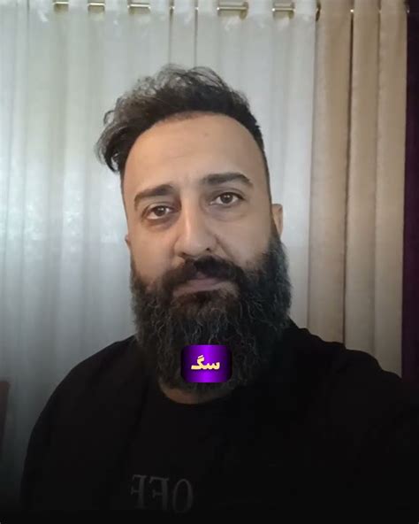 سگ یا گرگ؟ انتخاب با توست آیا تا به حال به این فکر کرده‌اید که در زندگی
