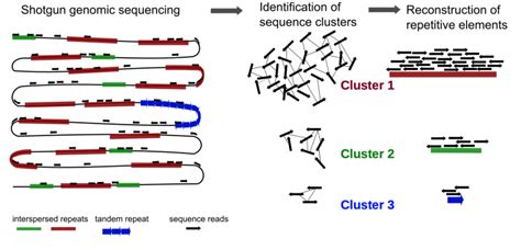 42 Lab Exercises — American Campus Tree Genomes 01 Documentation
