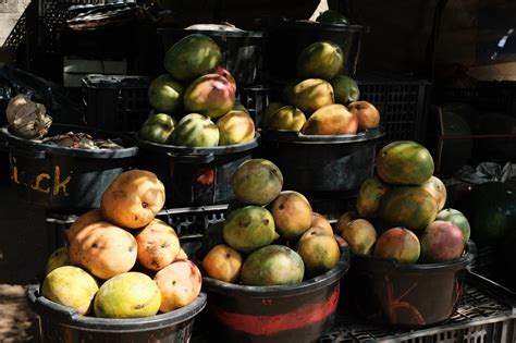 Ceebu Jën Plat National Du Sénégal Il Vaso Di Pandoro