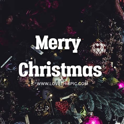 Assorted Ornament Merry Christmas Quote Pictures Photos And Images For Facebook Tumblr