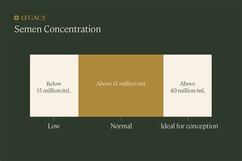 Guide To Sperm Testing And Semen Analysis Legacy