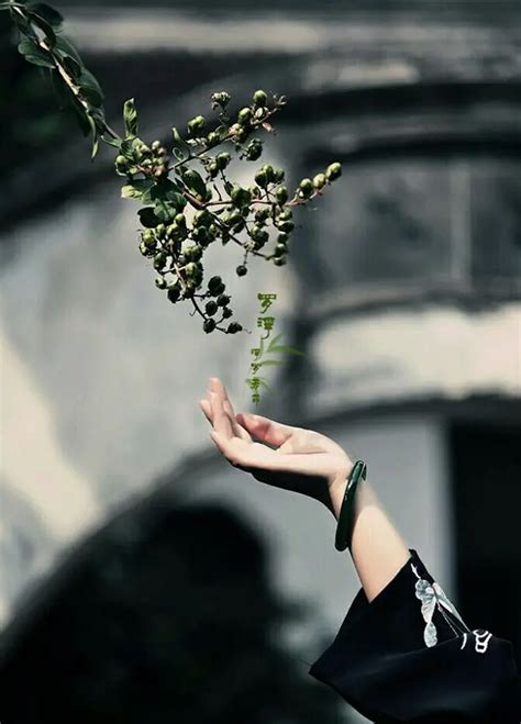 美人既醉，朱颜酡些。 花瓣网