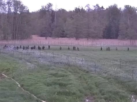 Agresywni migranci chcieli sforsować polską granicę Interweniowała SG