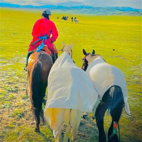 Би хусуураа бариад Чи утас зүүгээ бариад Амьдрал хэмээх их далайд хамтдаа хичээе🐴💕 By