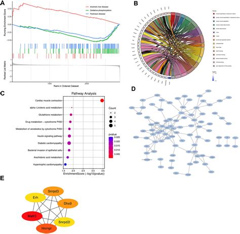 Frontiers Phosphoproteomic And Proteomic Profiling In Post Infarction