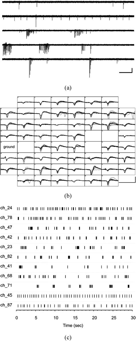 A Extracellular Neural Signal Traces Recorded Simultaneously From 5 Download Scientific