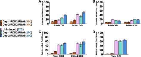 Developmental Dynamics Of Mitochondrial Mrna Abundance And Editing